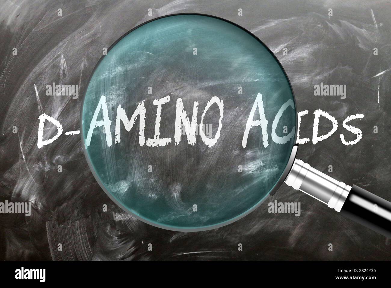 D-Amino Acids - learn, study and inspect it. Taking a closer look at d ...