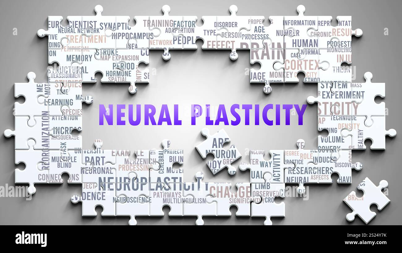 Neural Plasticity being a complex subject, related to other important ... Neural Plasticity being a complex subject, related to other important ...