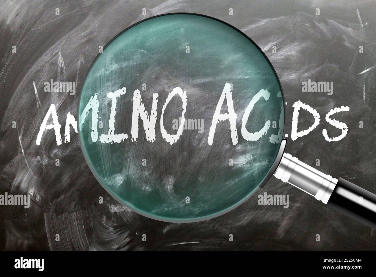 Amino Acids - learn, study and inspect it. Taking a closer look at ...