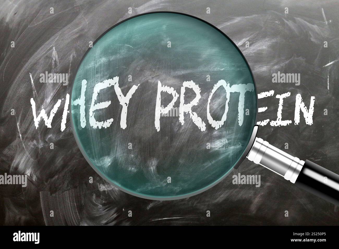 Whey Protein - learn, study and inspect it. Taking a closer look at ...