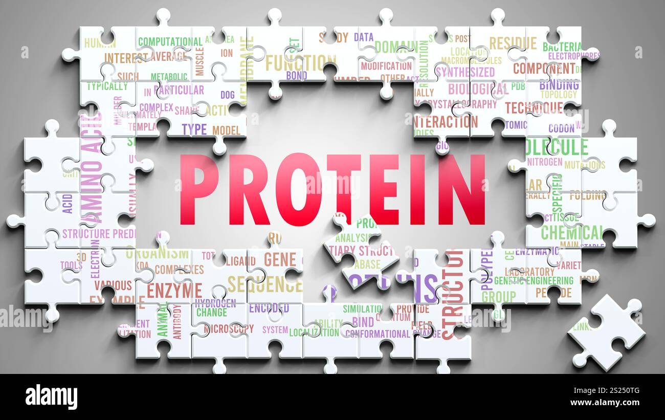 Protein being a complex subject, related to other important topics ...