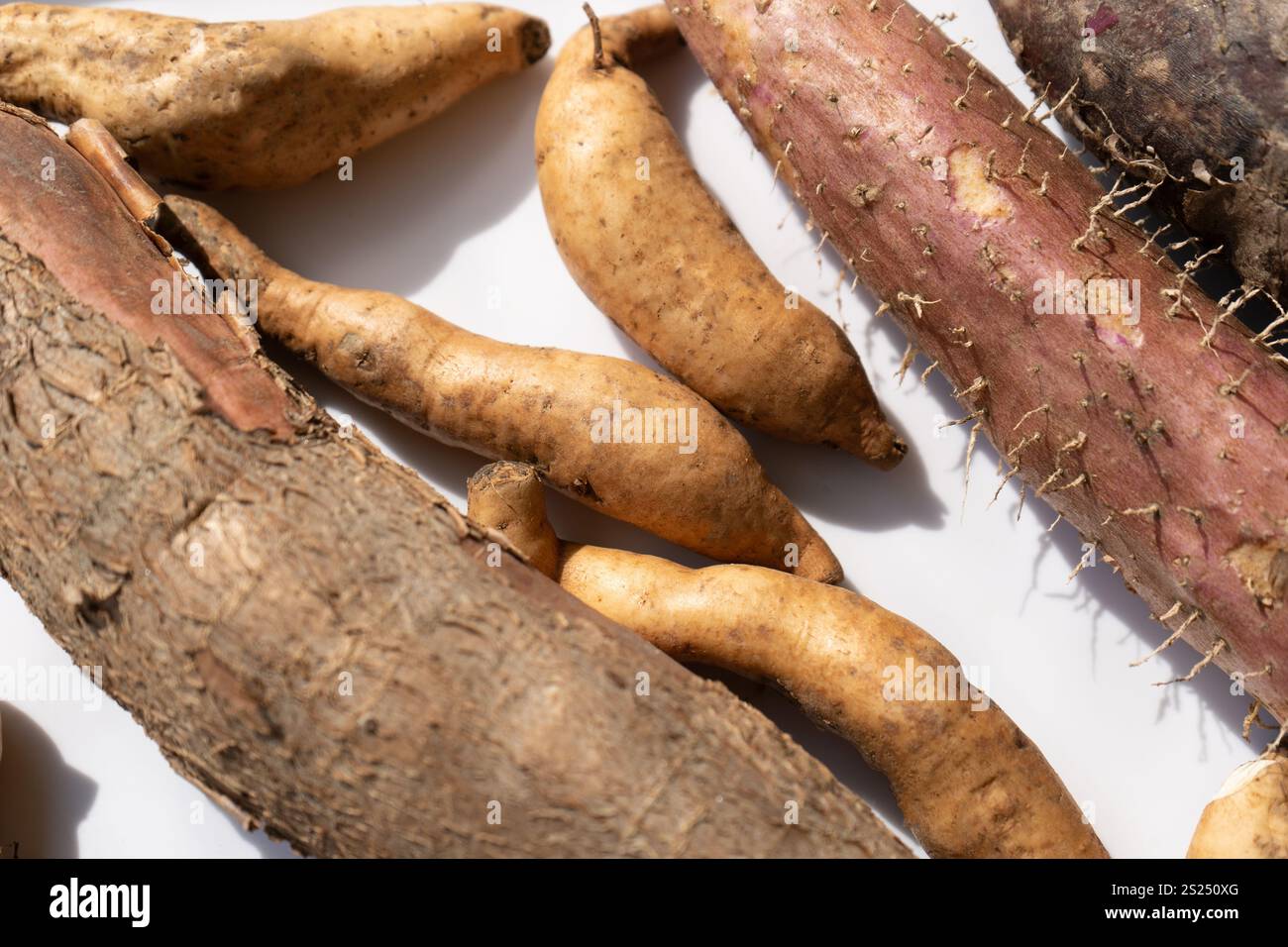 Sweet Potato and Yam Root Fibrous Vegetable Healthy Concept Isolated ...