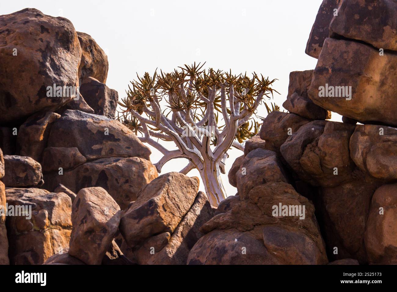 Looking through ta gap in the walls of stacked boulders in the Giants ...