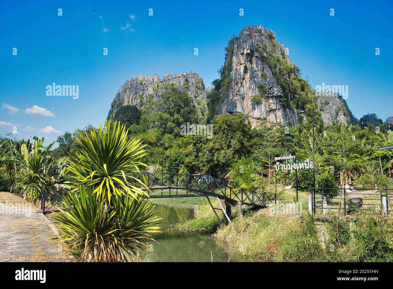 Garden bridge bats hi-res stock photography and images - Alamy