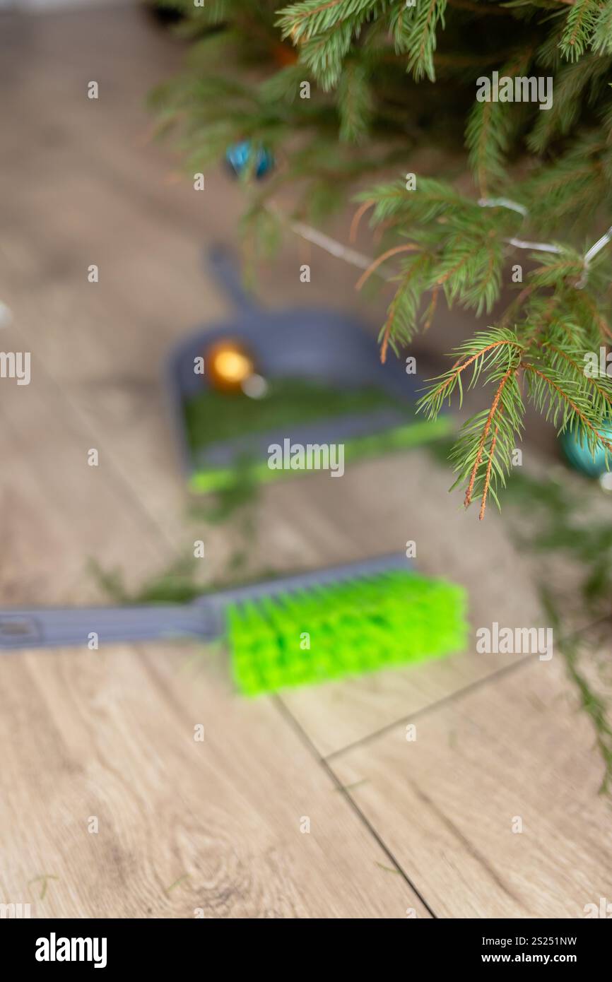 cleaning the apartment after Christmas, needles fall off the Christmas ...