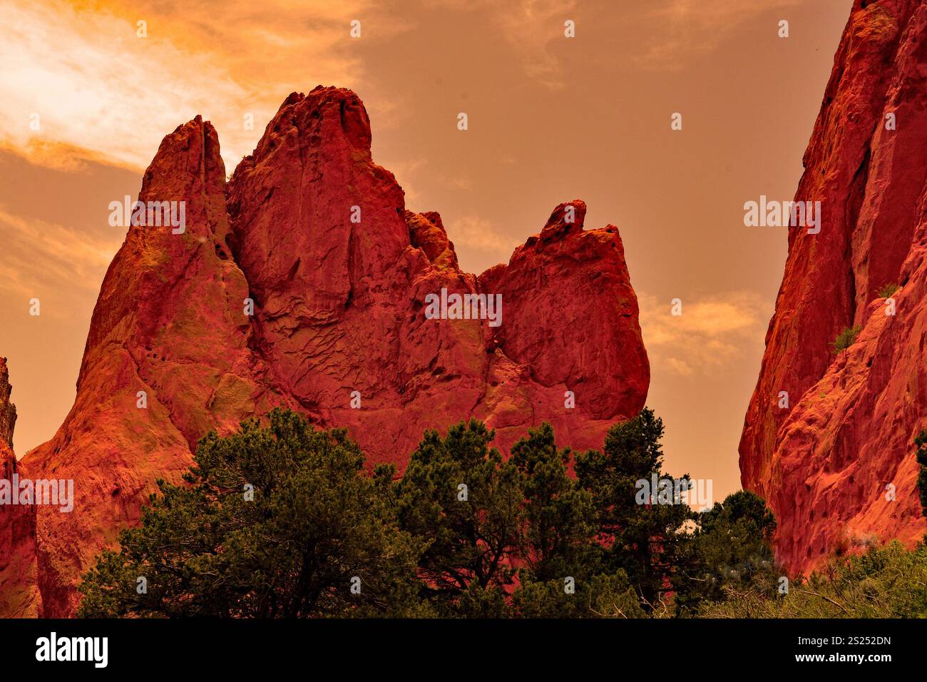Golden Light on Red Rocks in the Garden of the god's, Colorado Springs ...