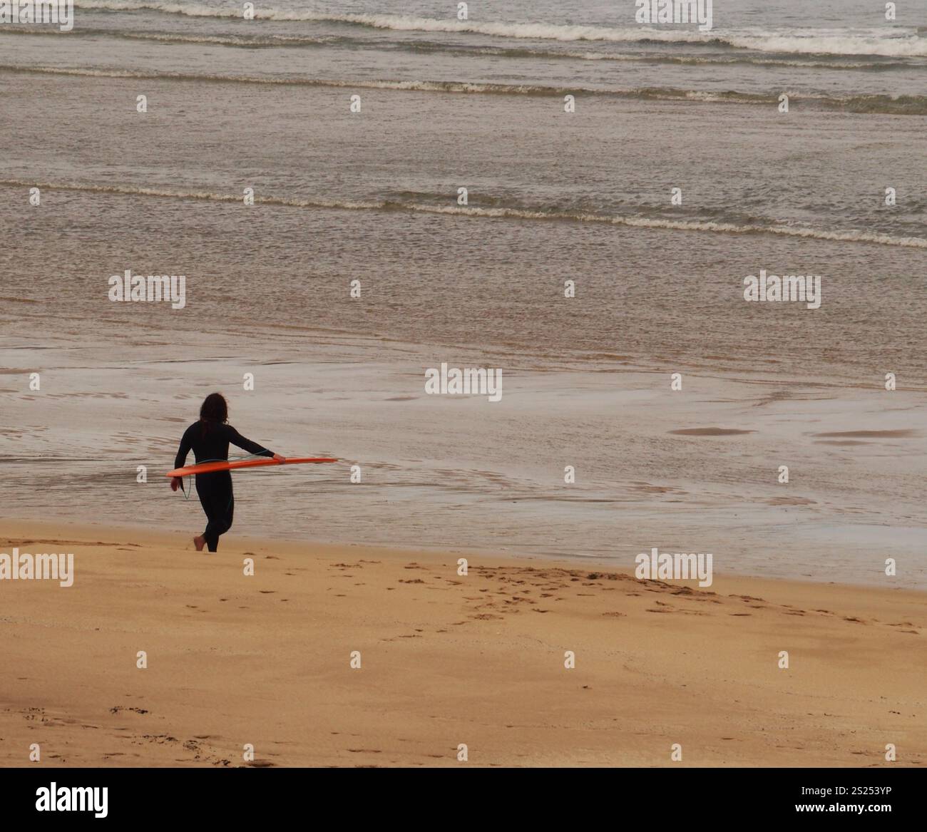 A male surfer carrying his red surfboard into the sea and wearing a ...