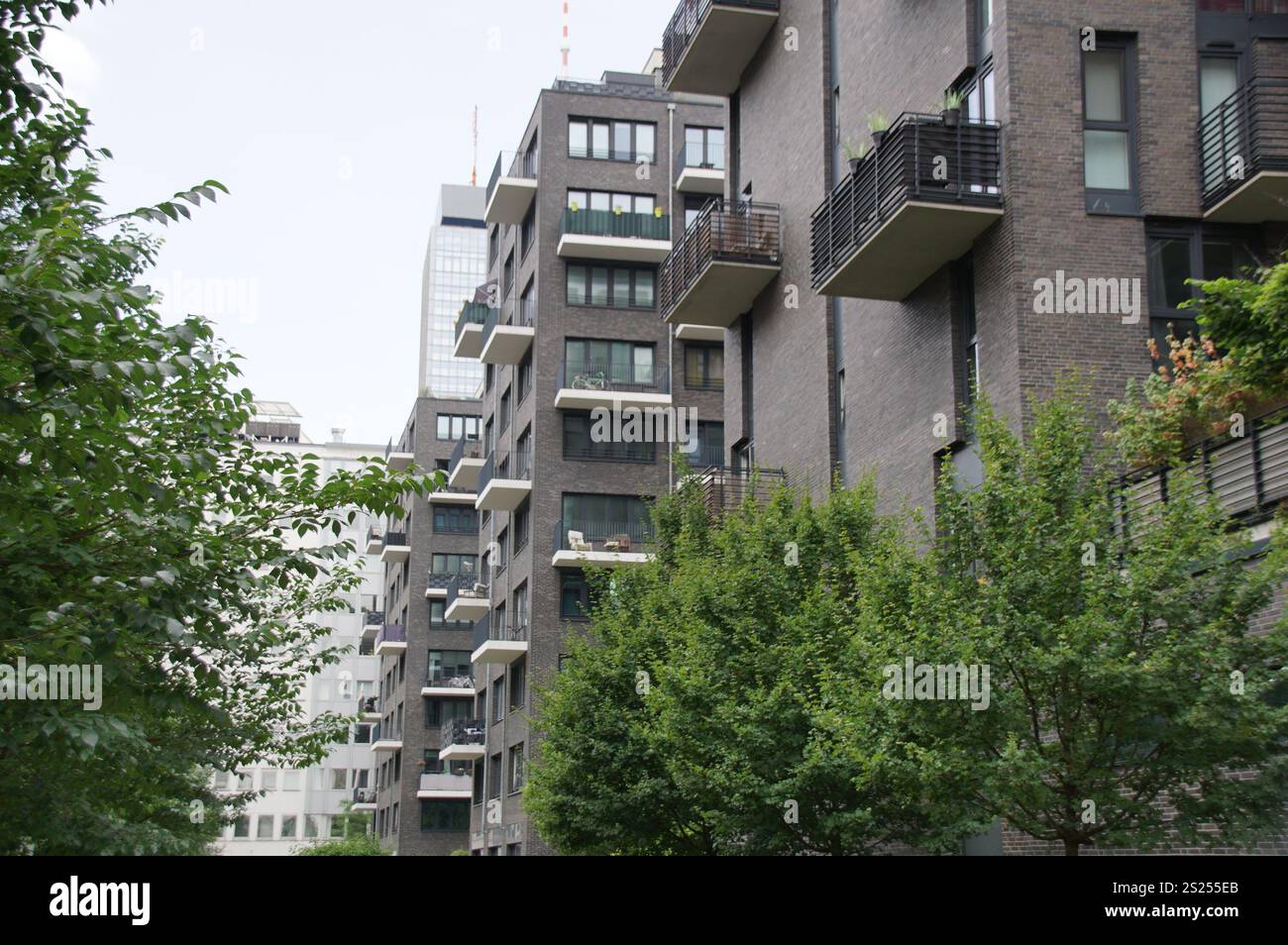 These images were captured by someone with a deep interest in ...