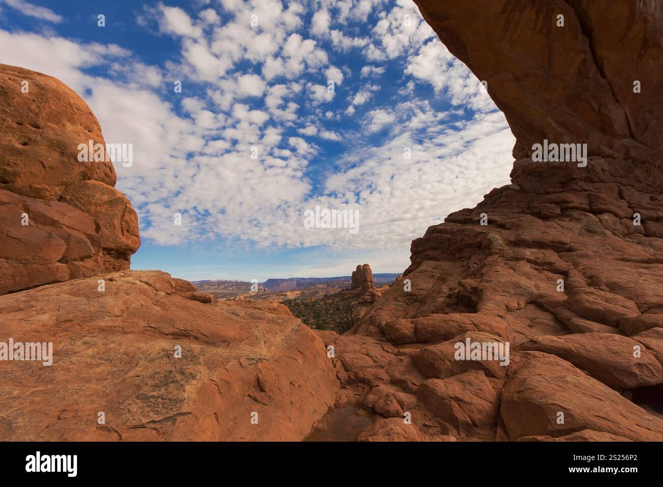 arches formations of arches national park, utah 14-usa Stock Photo - Alamy