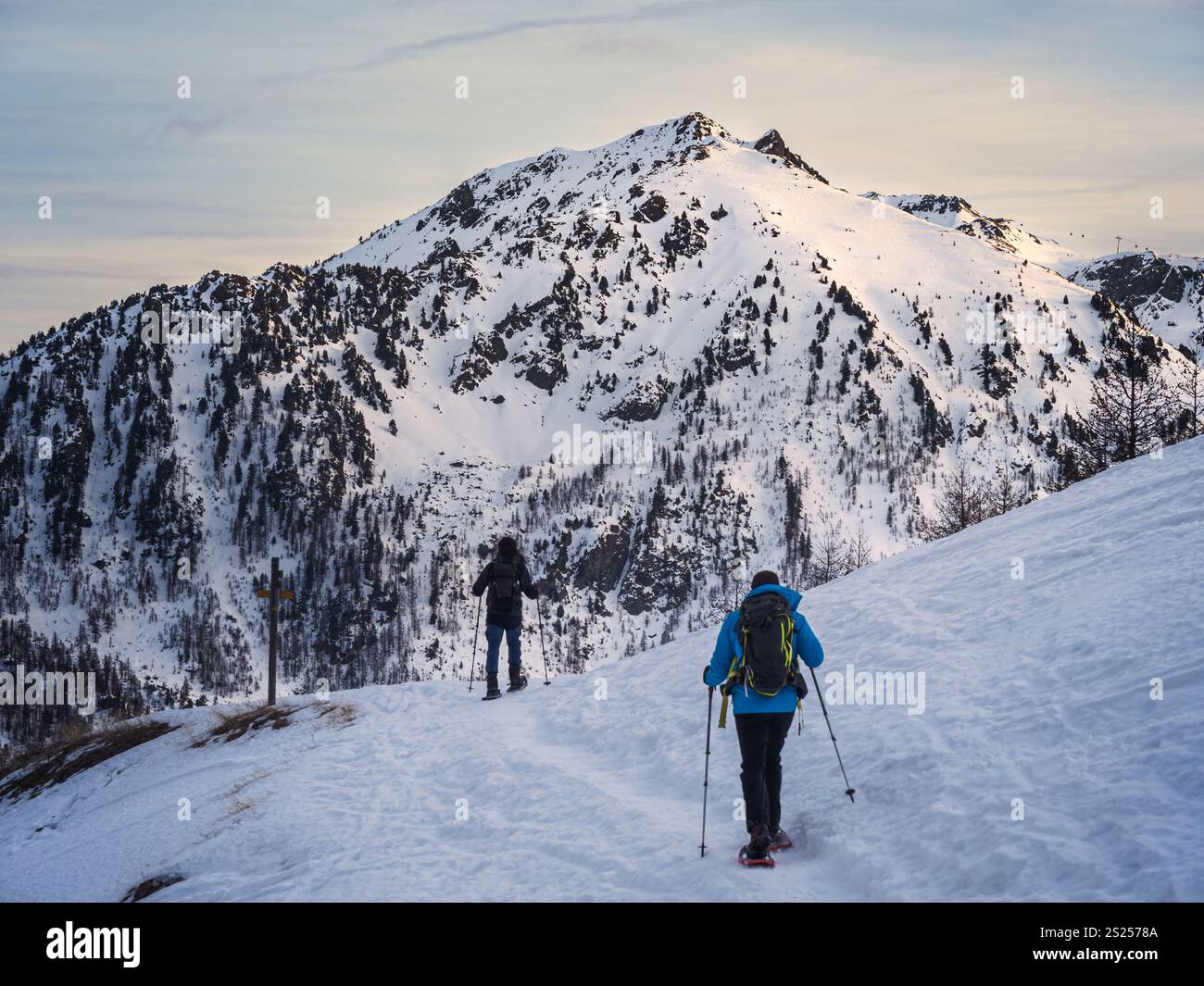 Two hikers snowshoeing along a snowy mountain trail, surrounded by pine ...