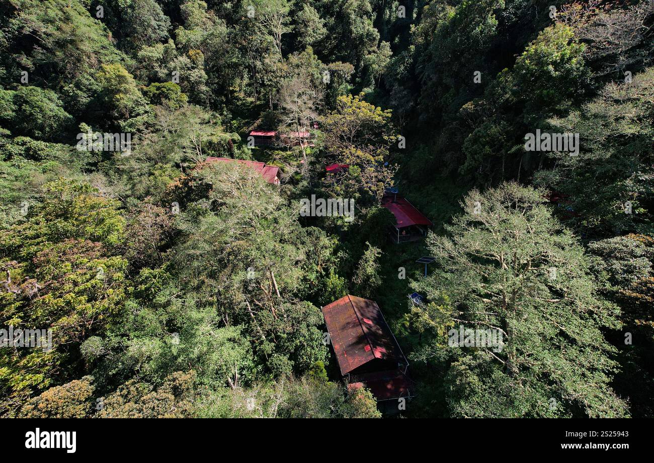 Aerial View of the Forest full of Trees and Camp of Small Houses in ...