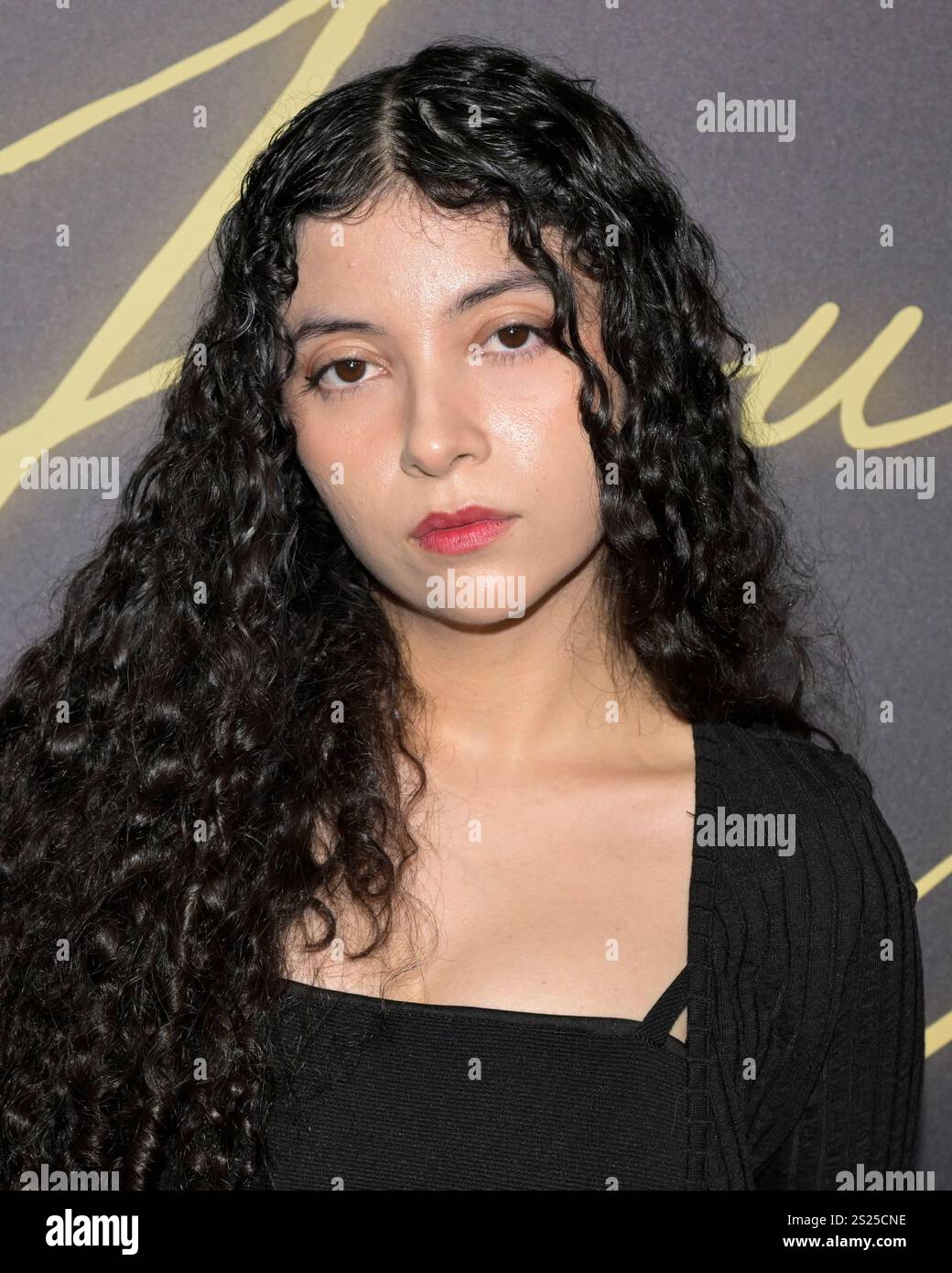 January 5, 2025, Hollywood, California, USA: Jessica Ross attends ...