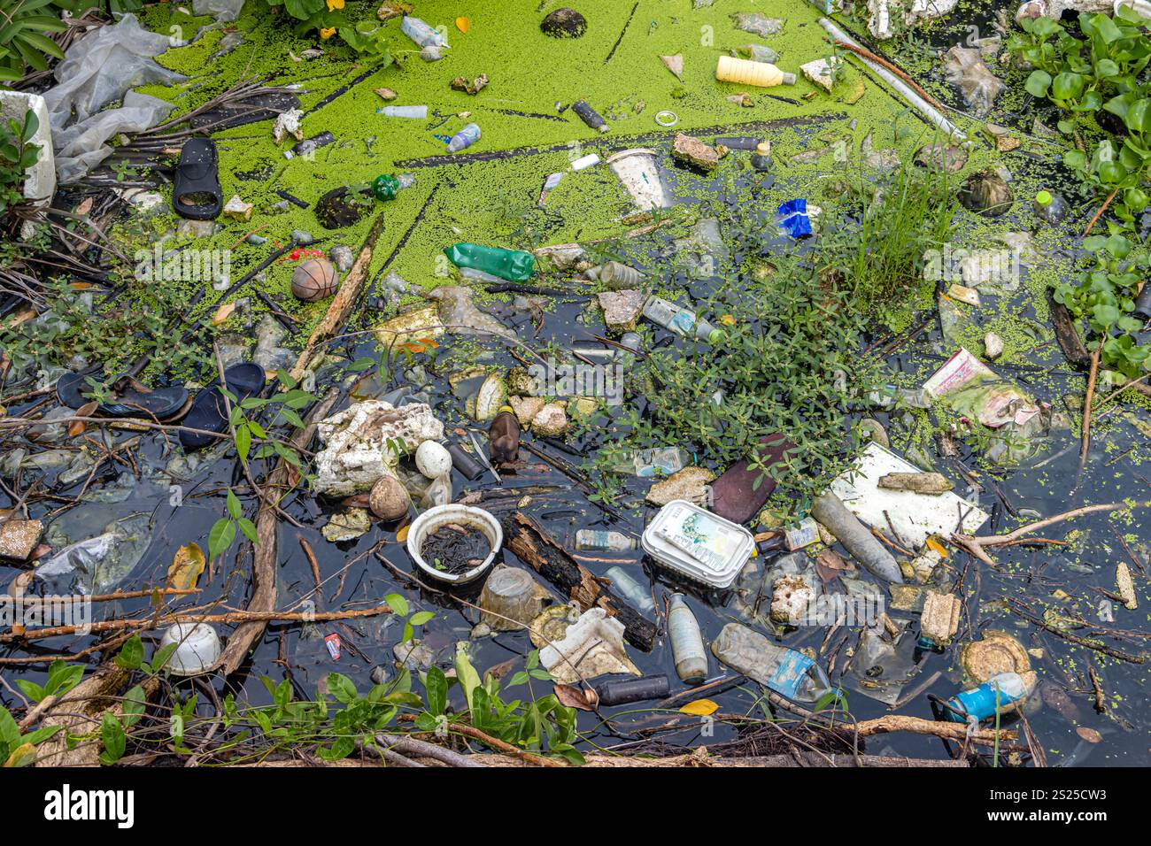 Garbage in standing water in a water canal in the city, Bangkok ...