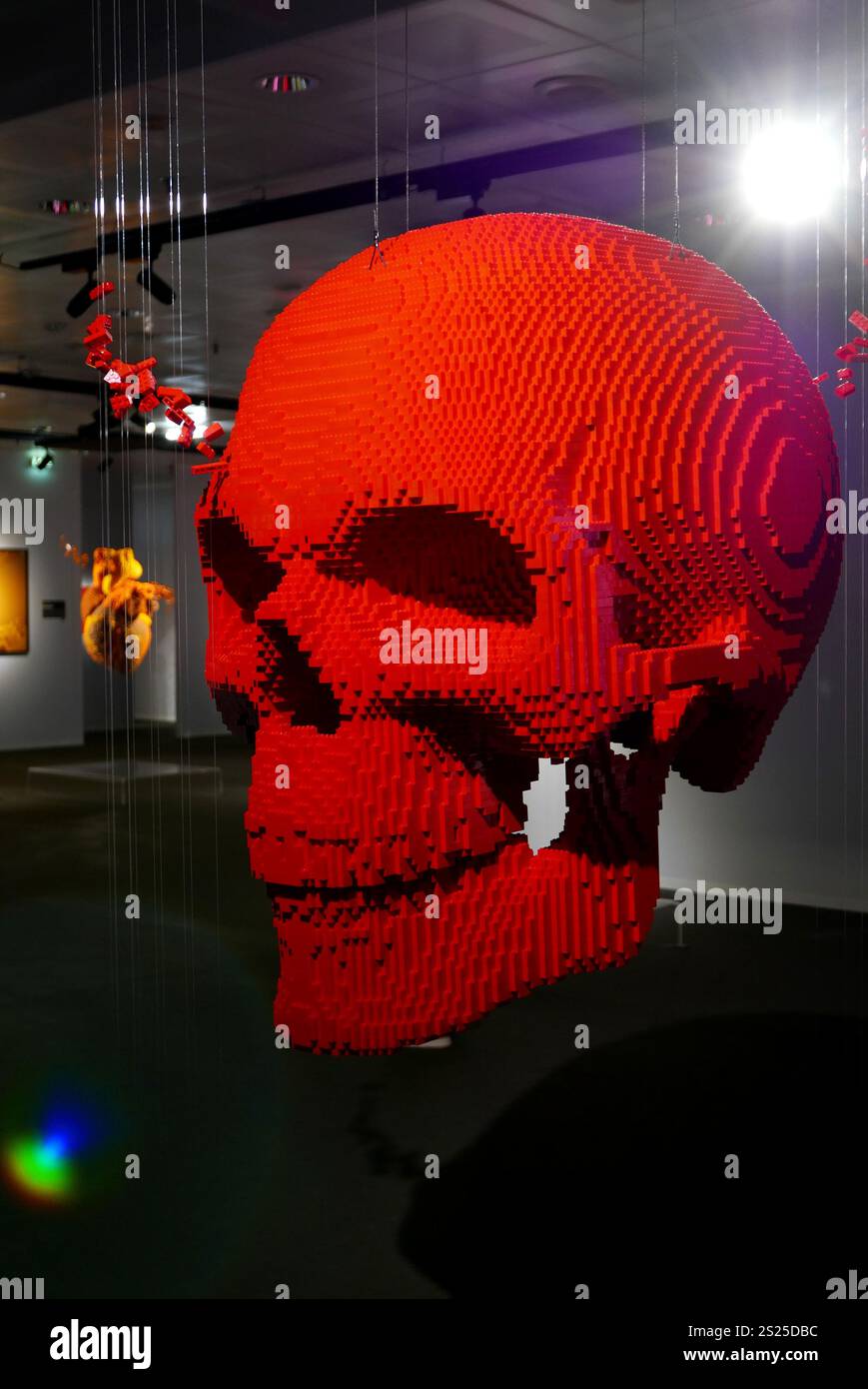 The Art of the Brick LEGO by Nathan Sawaya, Skulls, Paris, France ...