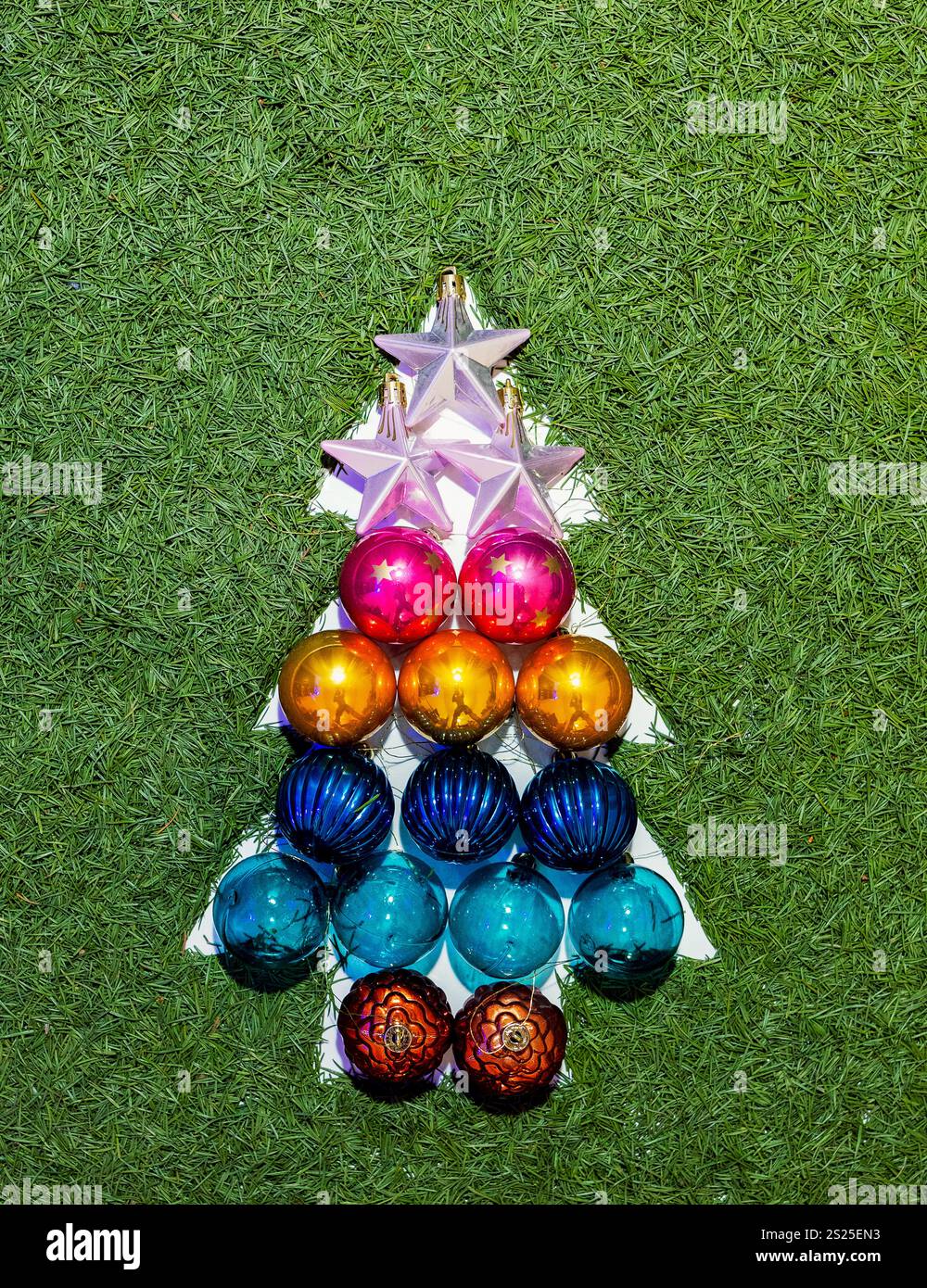 The outline of the spruce is laid out from spruce needles on a white ...