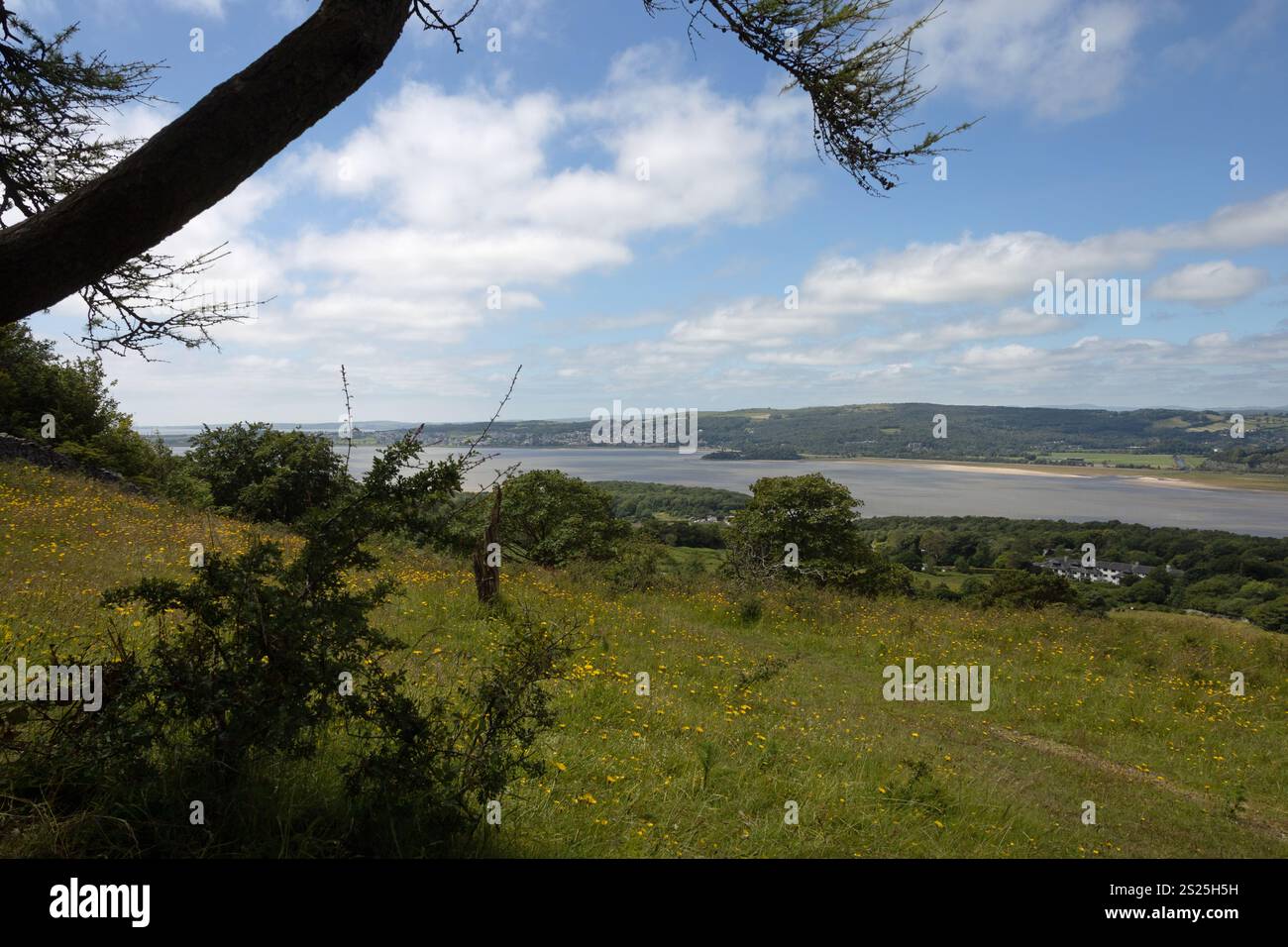 The River Kent Estuary from the summit of Arnside Knott Westmorland and ...