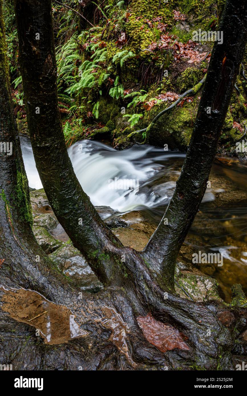 Dickerson falls trail hi-res stock photography and images - Alamy