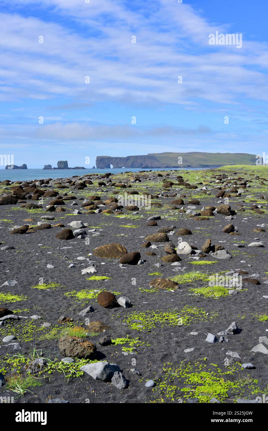 Reynisfjara (Black beach) with Dirholaey peninsula at bottom. Vik i ...
