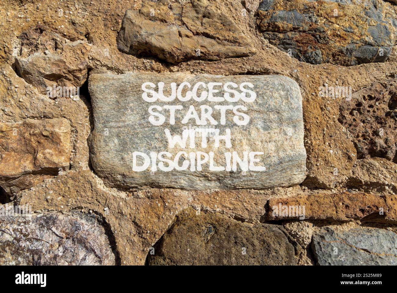 Success starts with discipline symbol. Concept words Success starts with discipline on beautiful ...