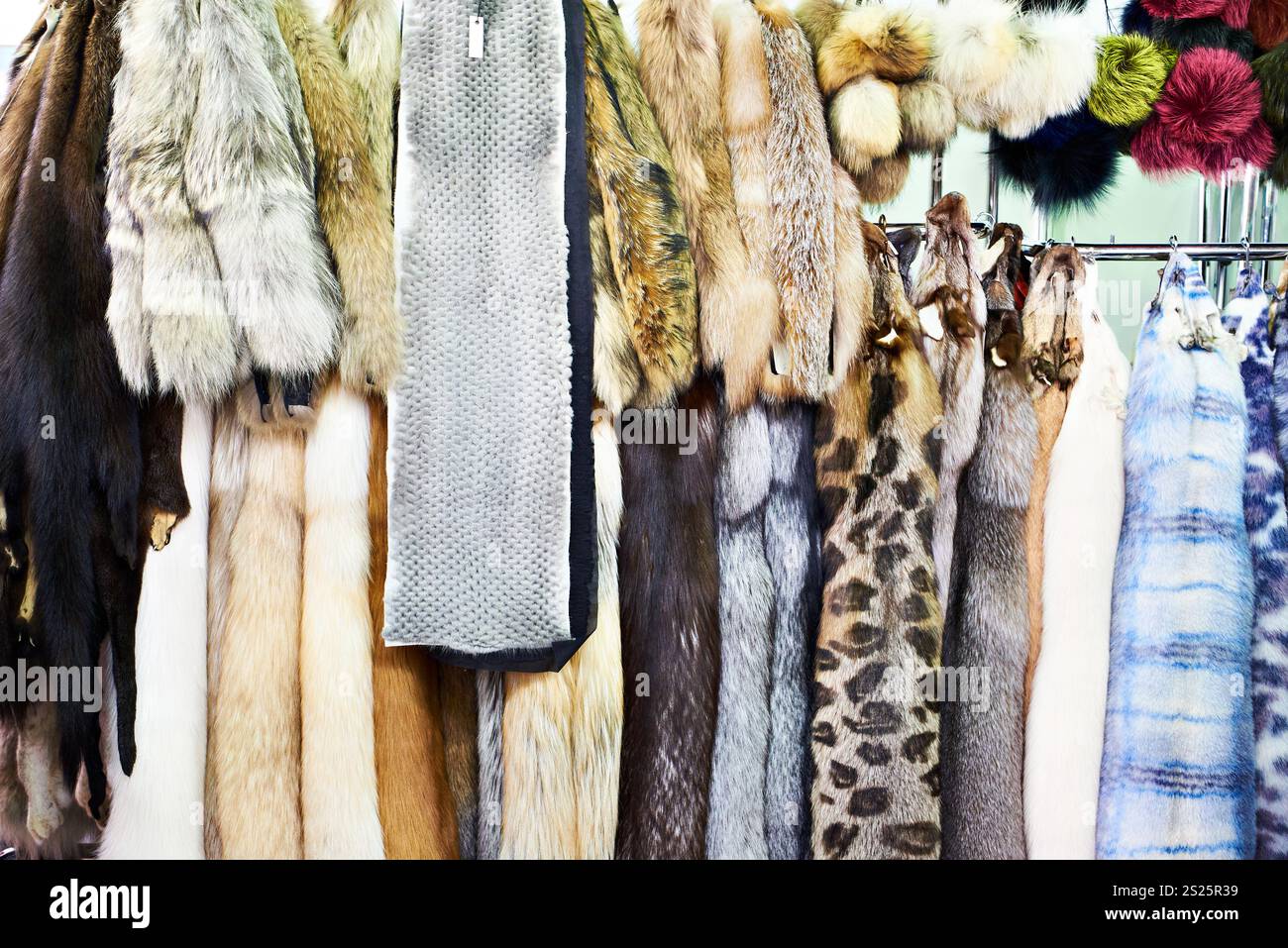 Samples of natural fur in a clothing store Stock Photo - Alamy