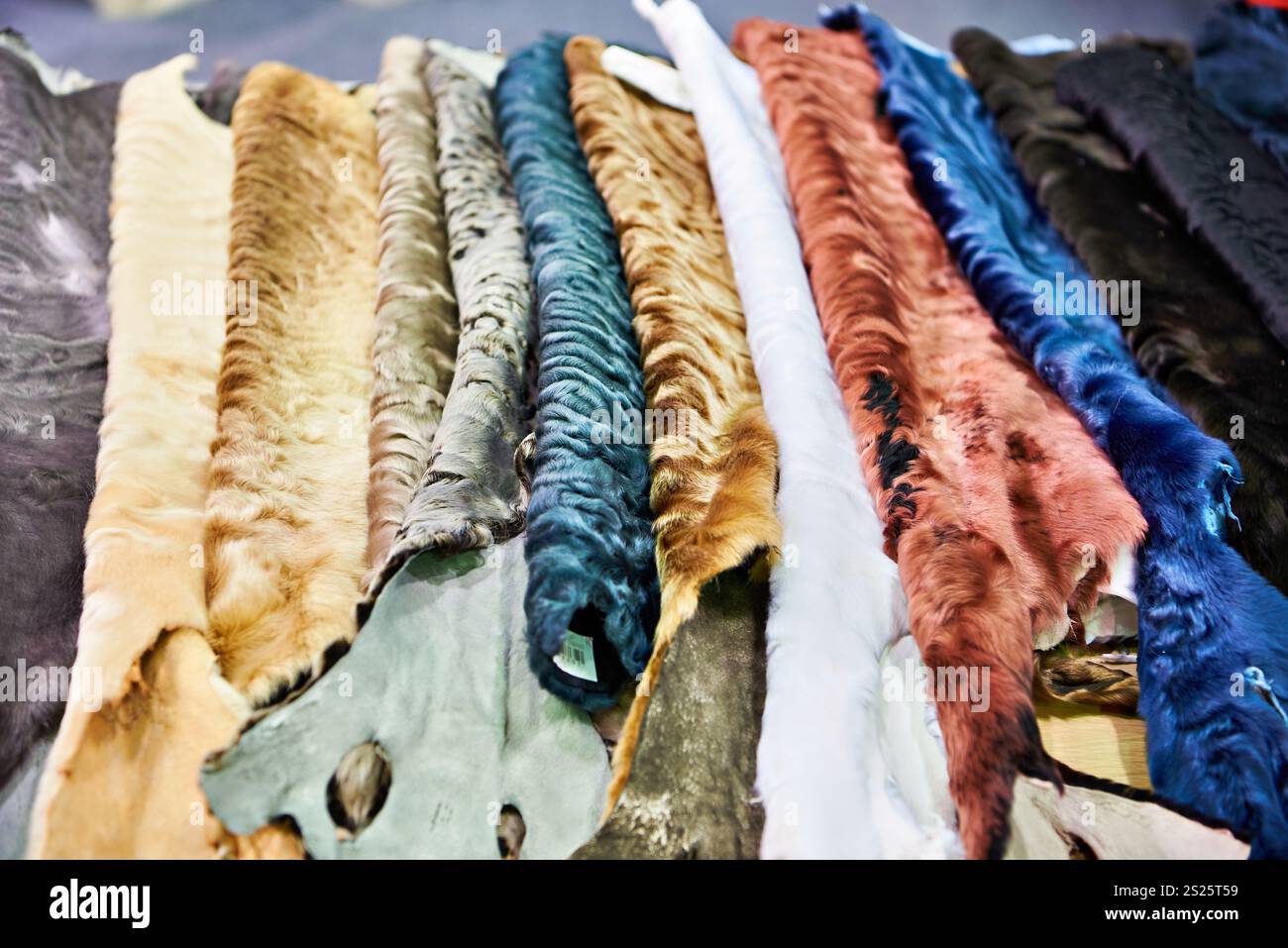 Colored samples of natural fur in a clothing store Stock Photo - Alamy