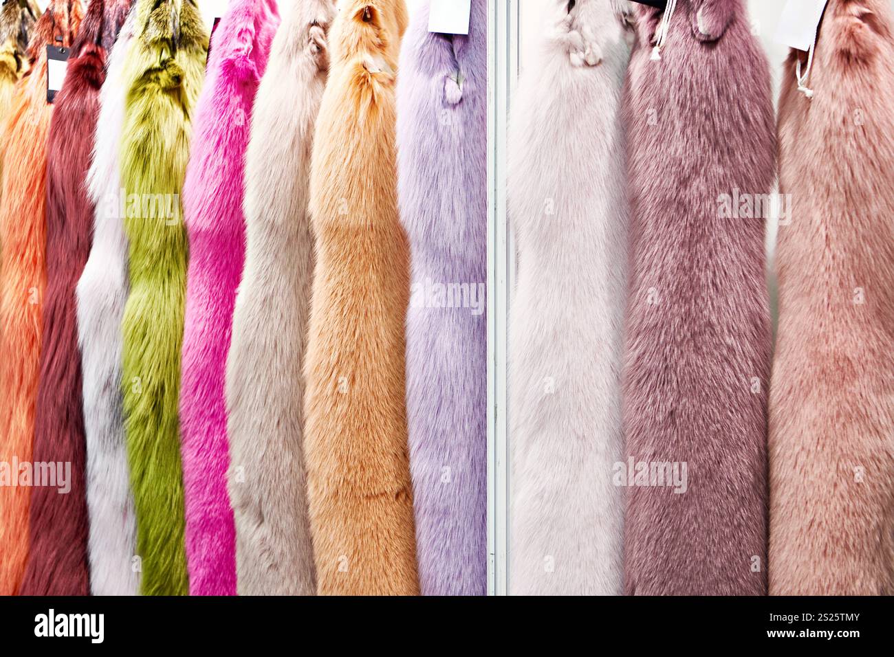Colored samples of natural fur in a clothing store Stock Photo - Alamy