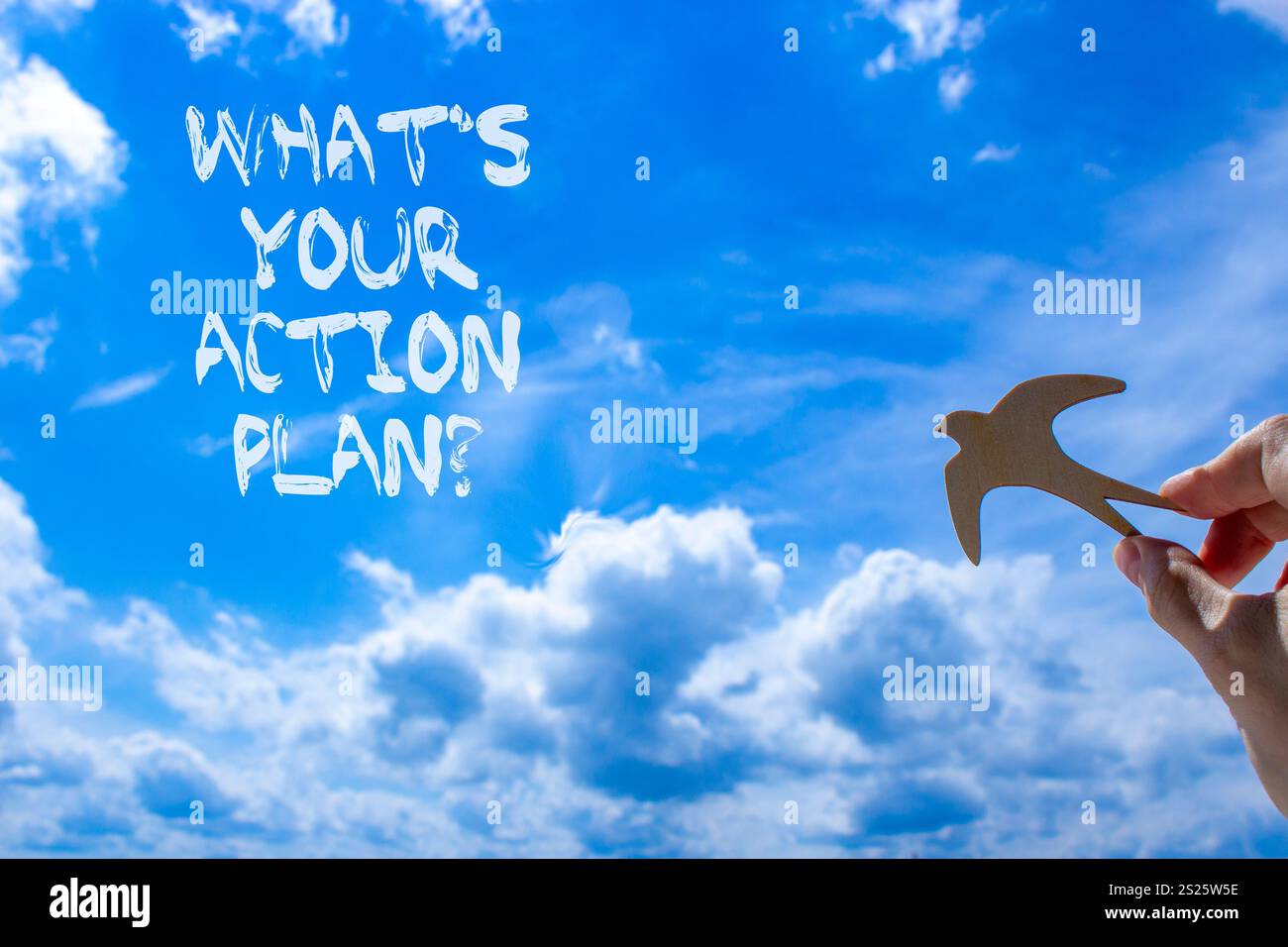 Action plan symbol. Concept words What is your action plan. Beautiful ...