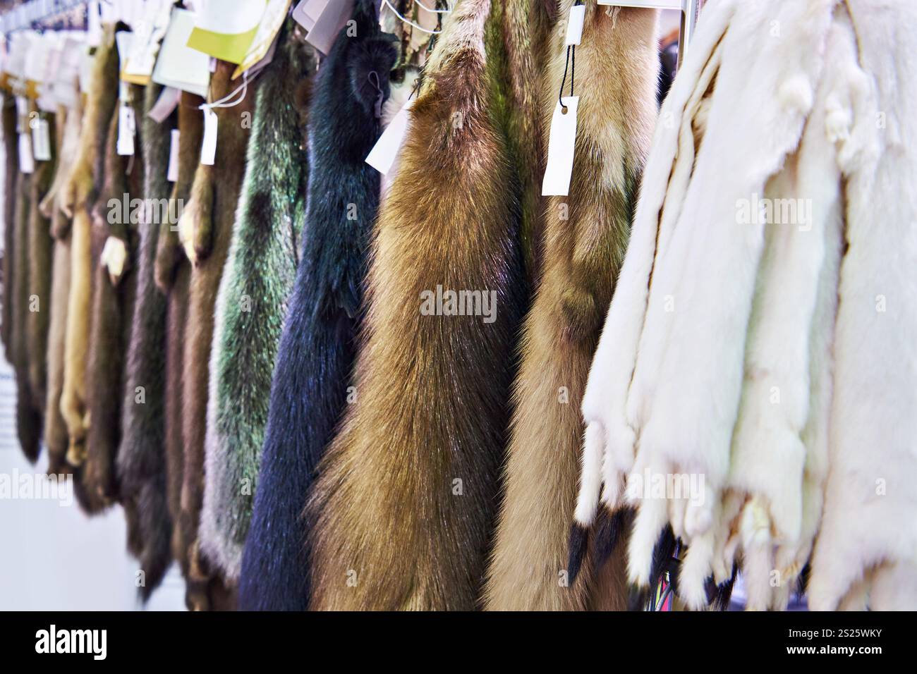 Clothing samples hi-res stock photography and images - Alamy