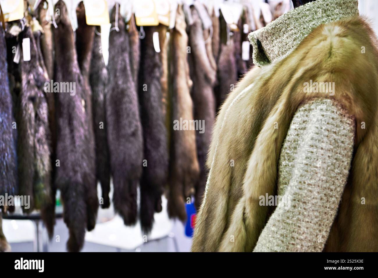 Samples of natural fur in a clothing store Stock Photo - Alamy