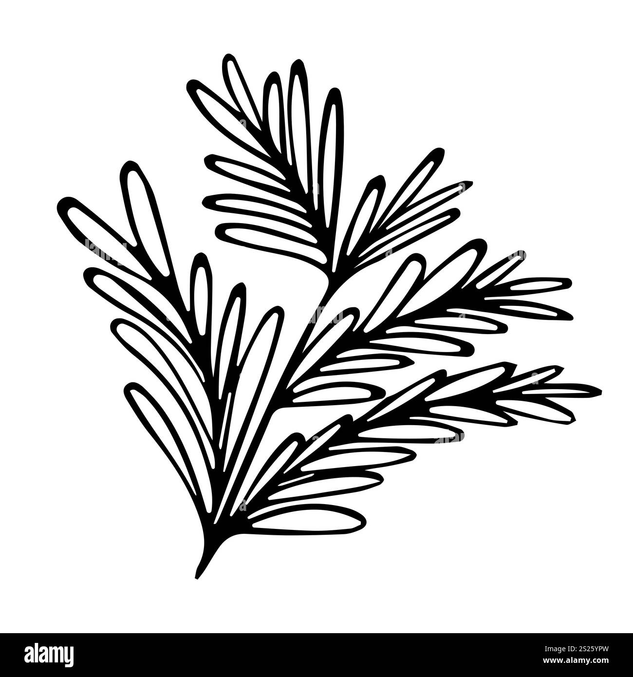 Intricate leaf patterns Black and White Stock Photos & Images - Alamy