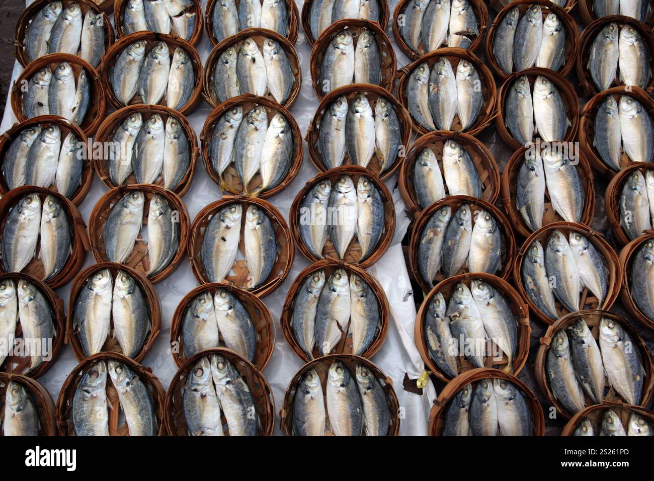 fish at the Talat Khouadin Markt in Vientiane the city of Vientiane in ...