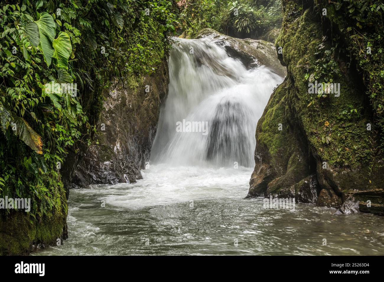 Cascadas de Nambillo waterfall, Mindo cloud forest, Ecuador, South ...