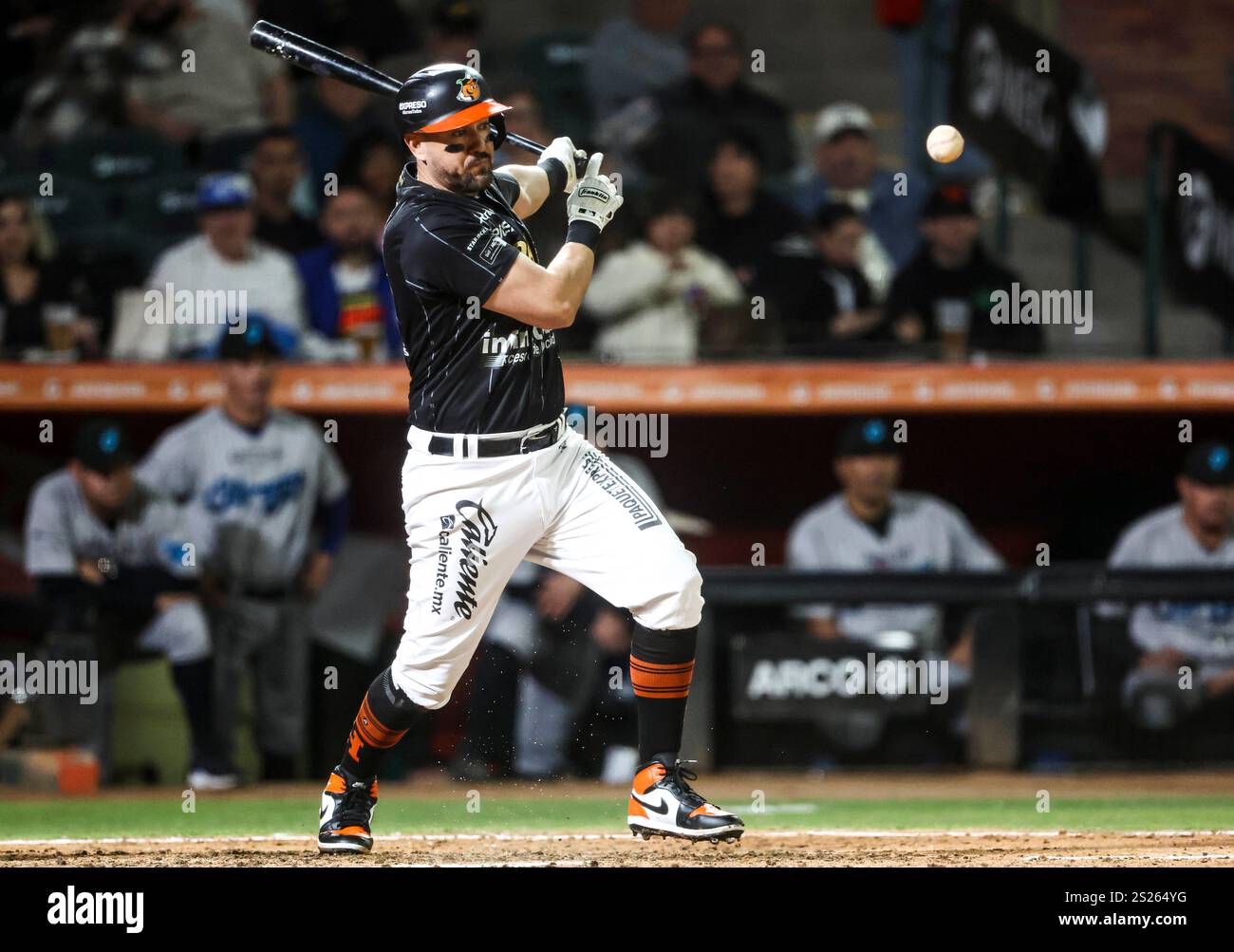 HERMOSILLO, MEXICO - JANUARY 1: Agustin Murillo of Naranjeros de ...