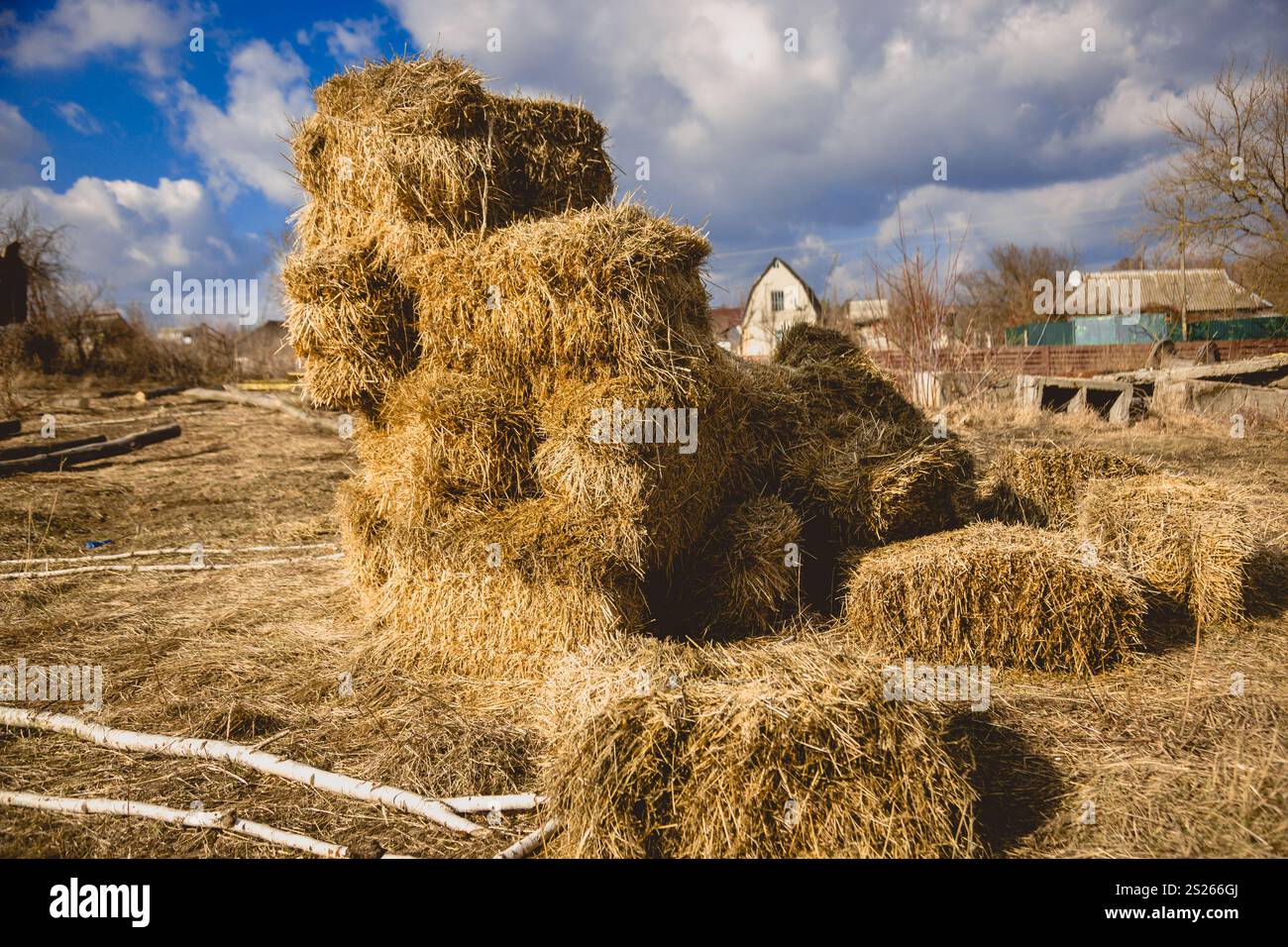 High stack of dried hay on farm Stock Photo - Alamy