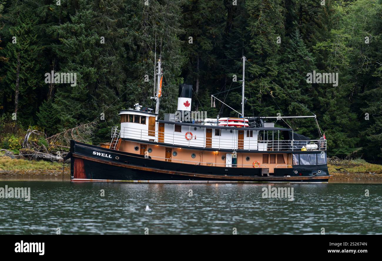The historic tugboat and adventure touring vessel MV Swell at anchor ...