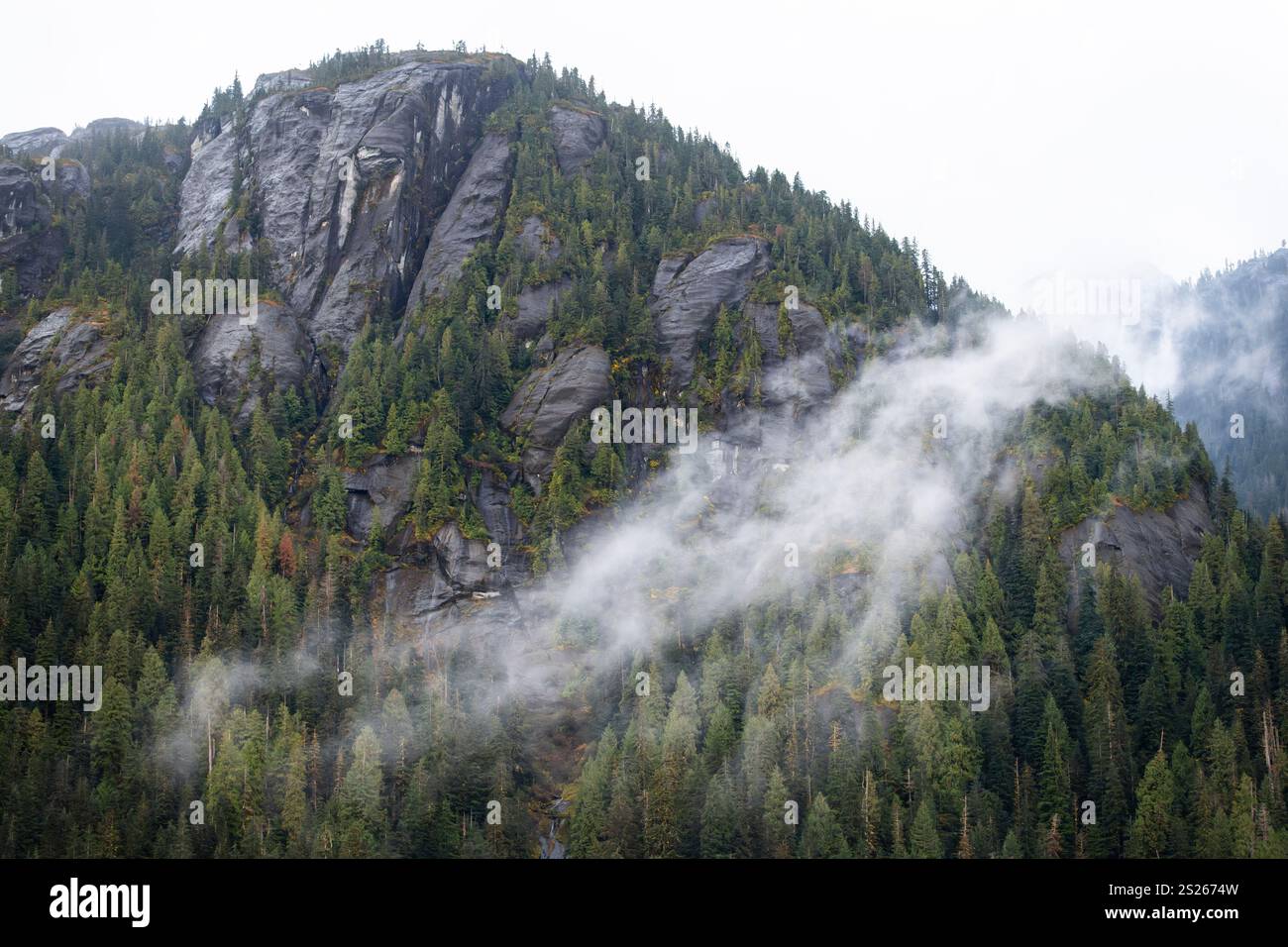 Mist flows over a forested mountain ridge in the wilderness of the ...