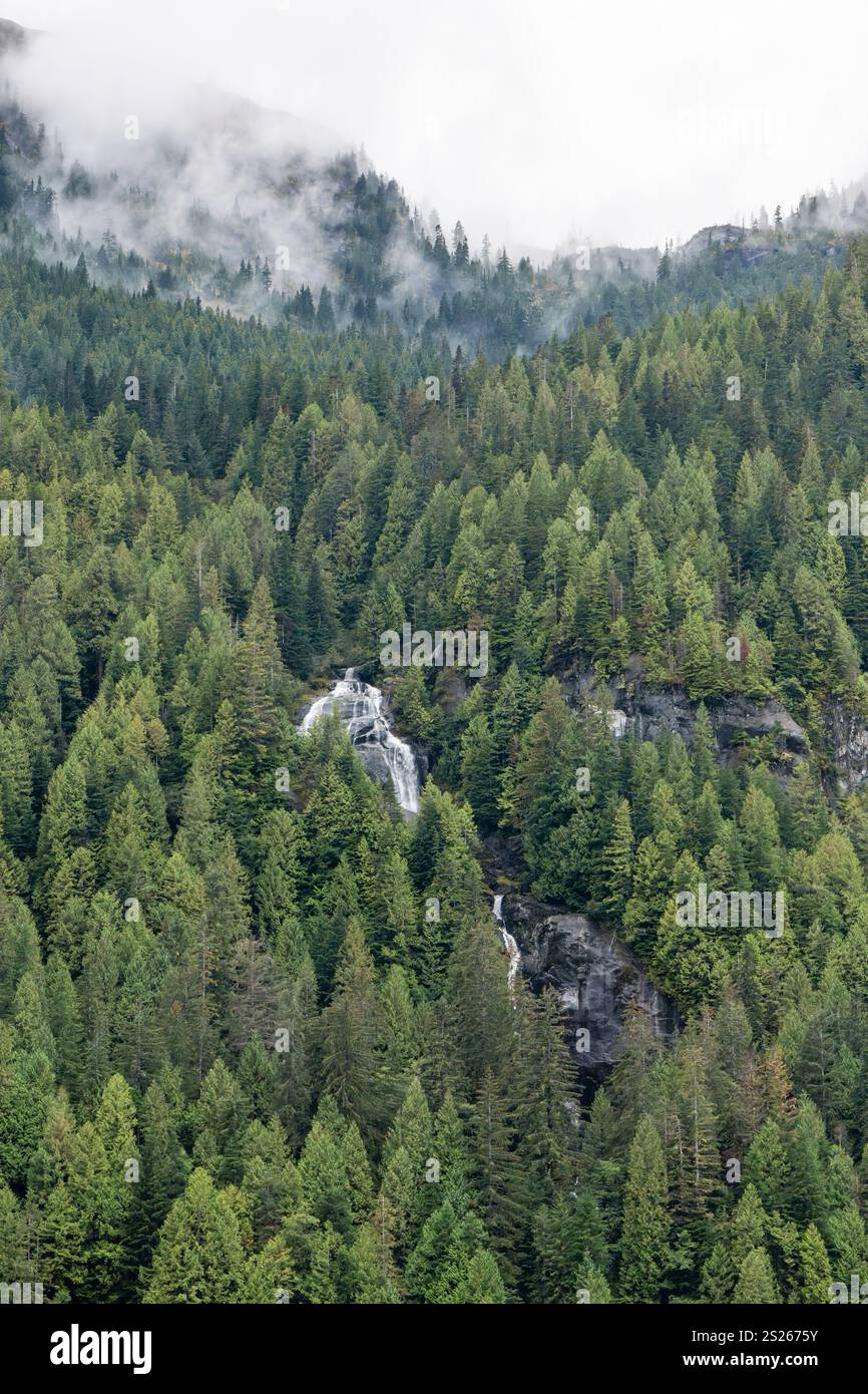A waterfall cascades down a steep mountainside through dense temperate ...