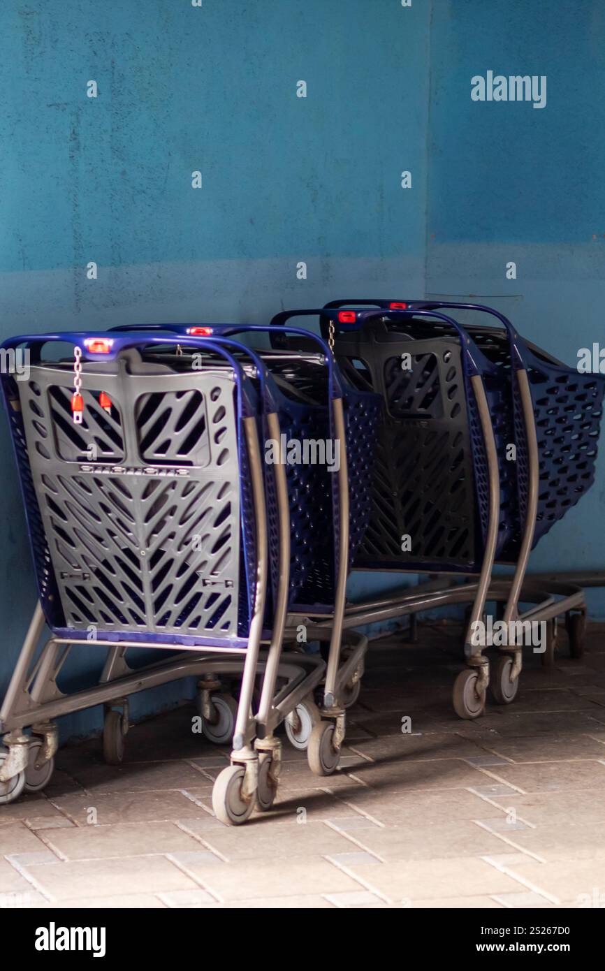 A collection of various shopping carts beautifully lined against a ...