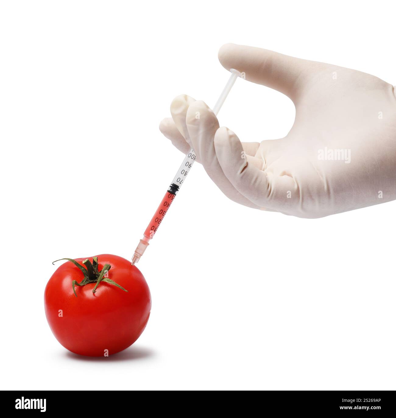 GMO concept. Scientist injecting something into fresh tomato against ...