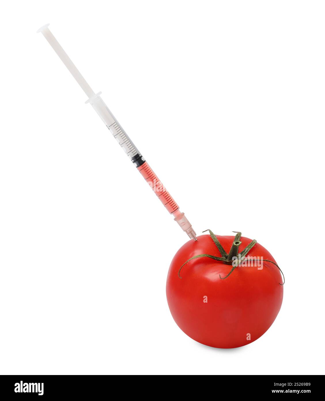 Scientist injecting tomato syringe Cut Out Stock Images & Pictures - Alamy
