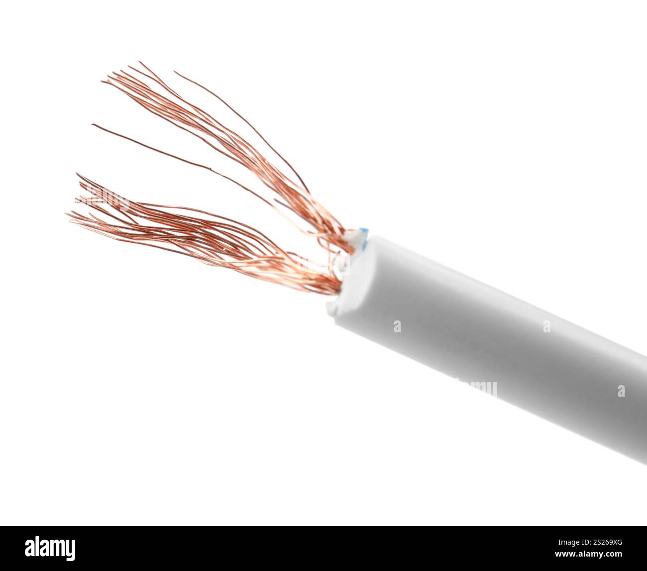 Stripped electrical wire with copper strands on white background Stock ...