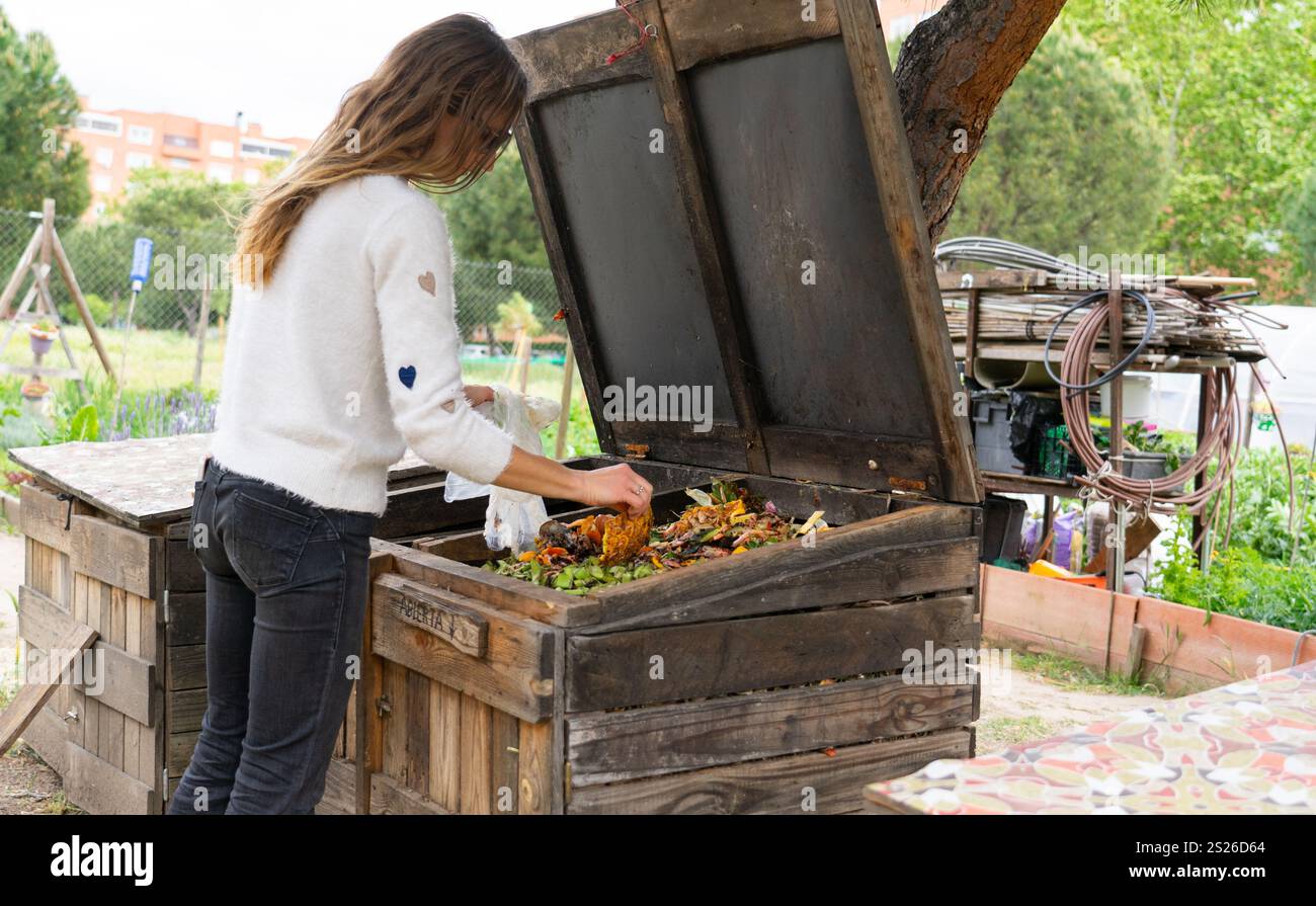 Gardener adding food scraps to compost bin in community garden ...