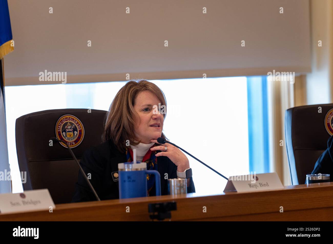 Denver, Colorado, USA. 6th Jan, 2025. State Rep. Shannon Bird, D ...
