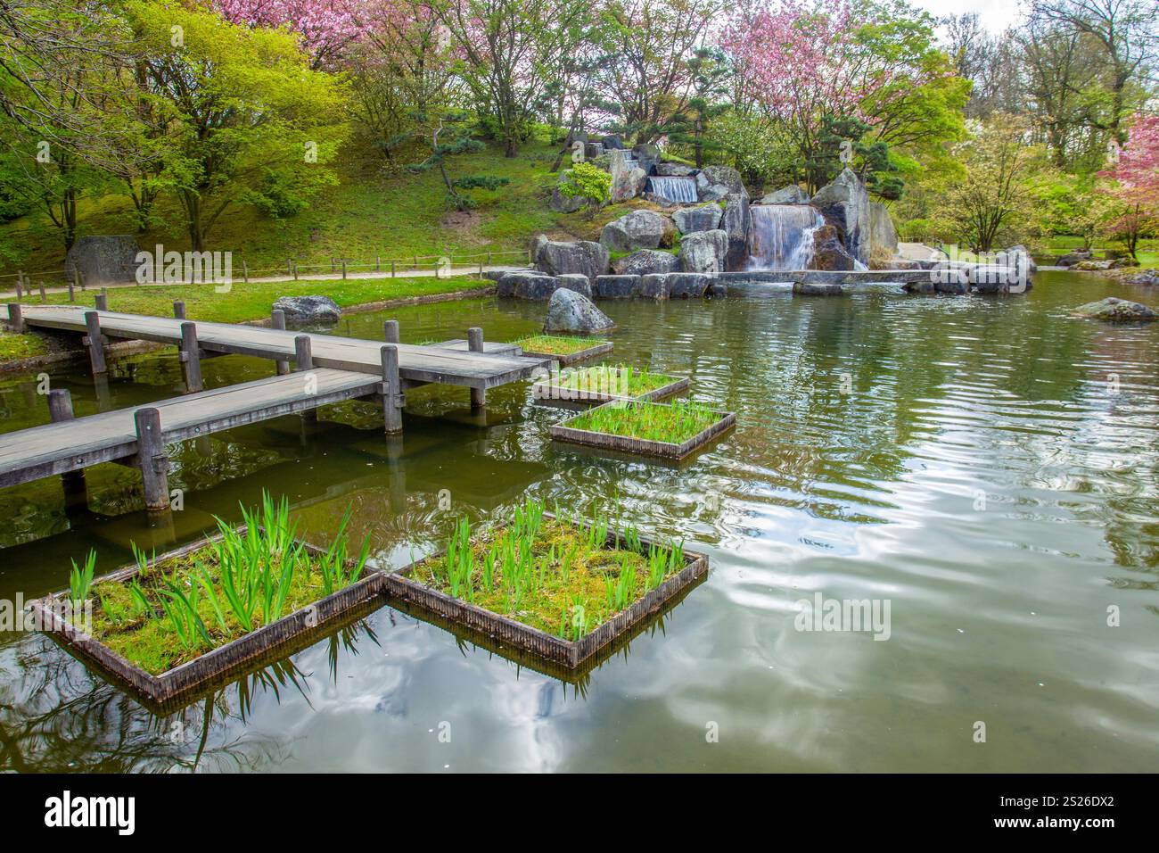 Amazing wooden bridge zigzag and waterfall in distance in Japanese ...