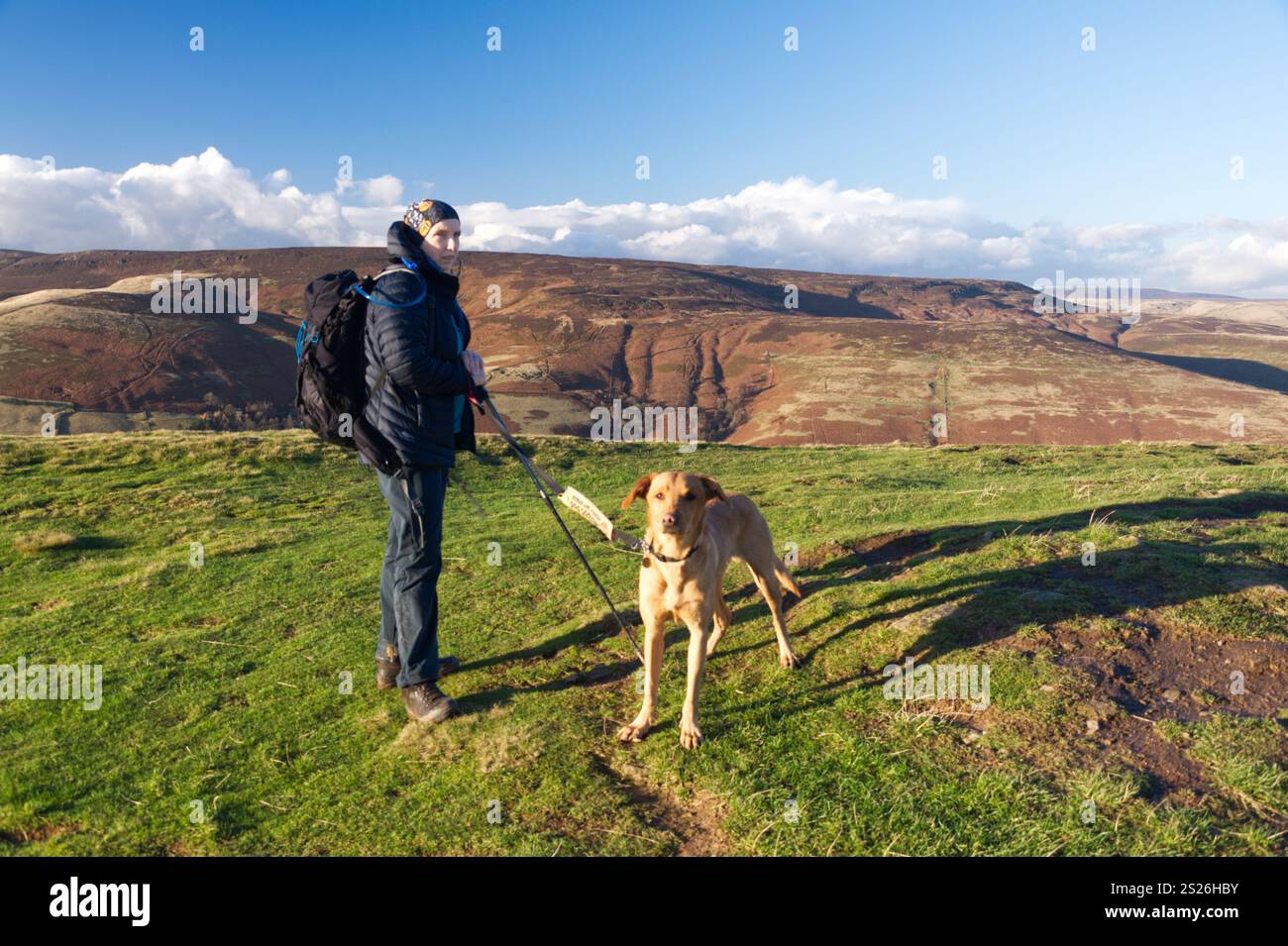Walker and Red Fox Labrador on the summit of Lose Hill Ward's Place ...