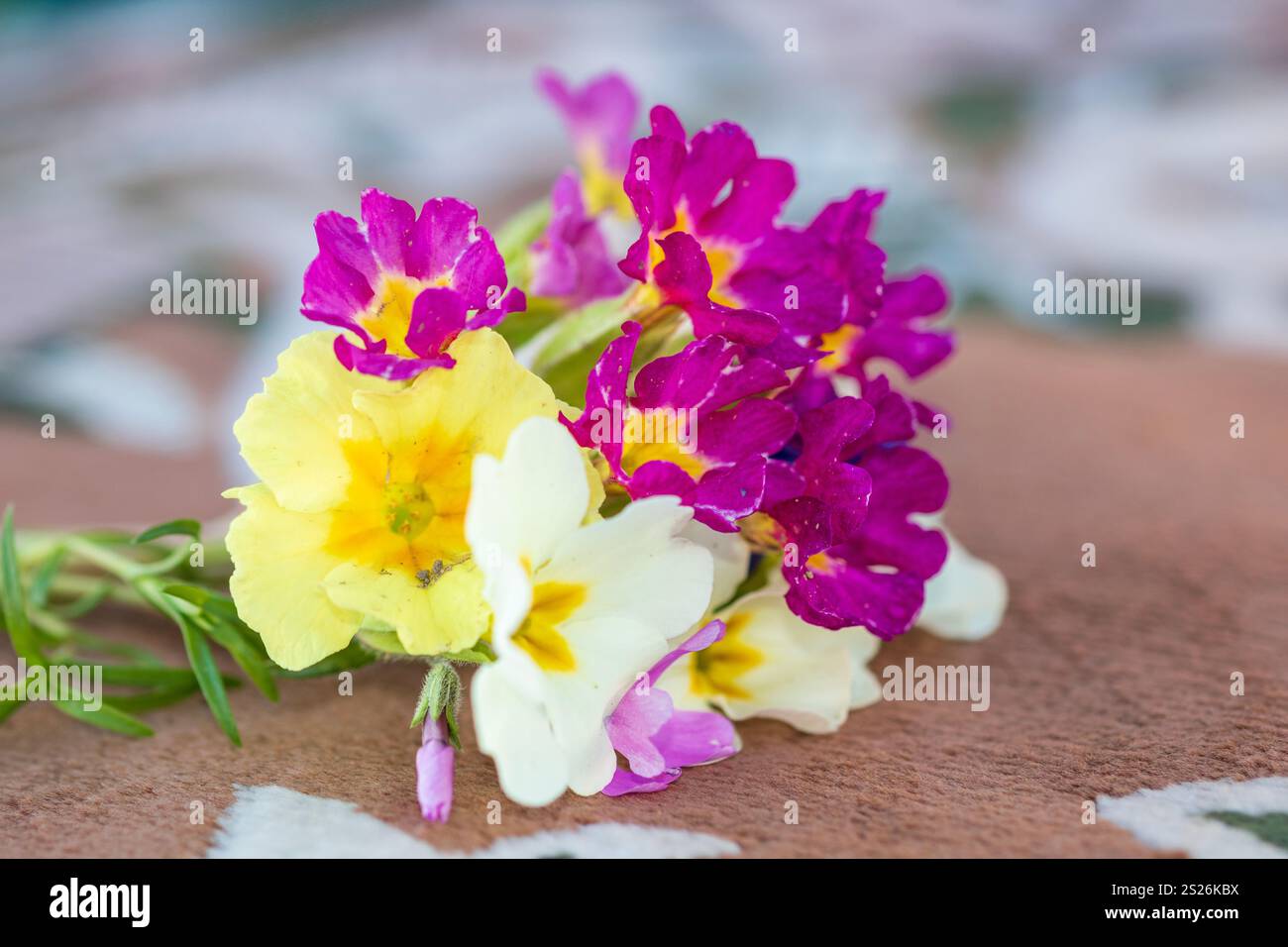 Spring colors in the Botanical Garden of Bucharest Stock Photo - Alamy