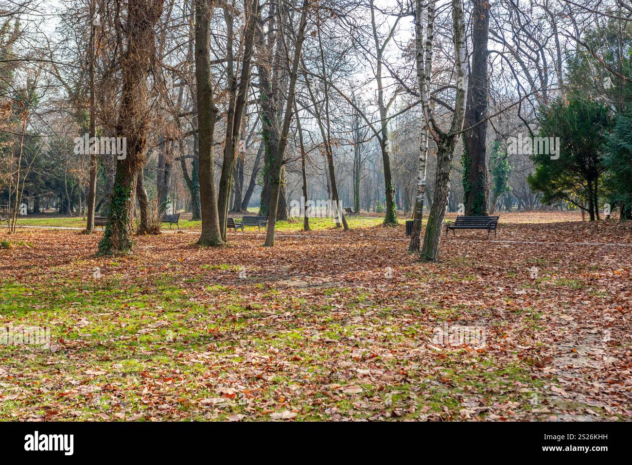 Autumn colors in the Botanical Garden of Bucharest Stock Photo - Alamy