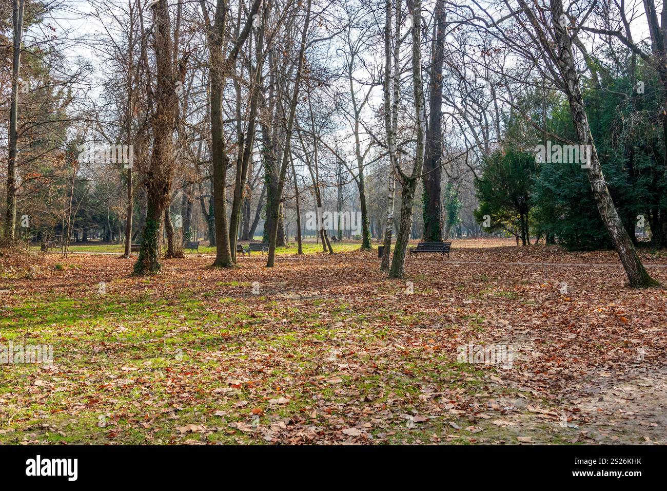 Autumn colors in the Botanical Garden of Bucharest Stock Photo - Alamy