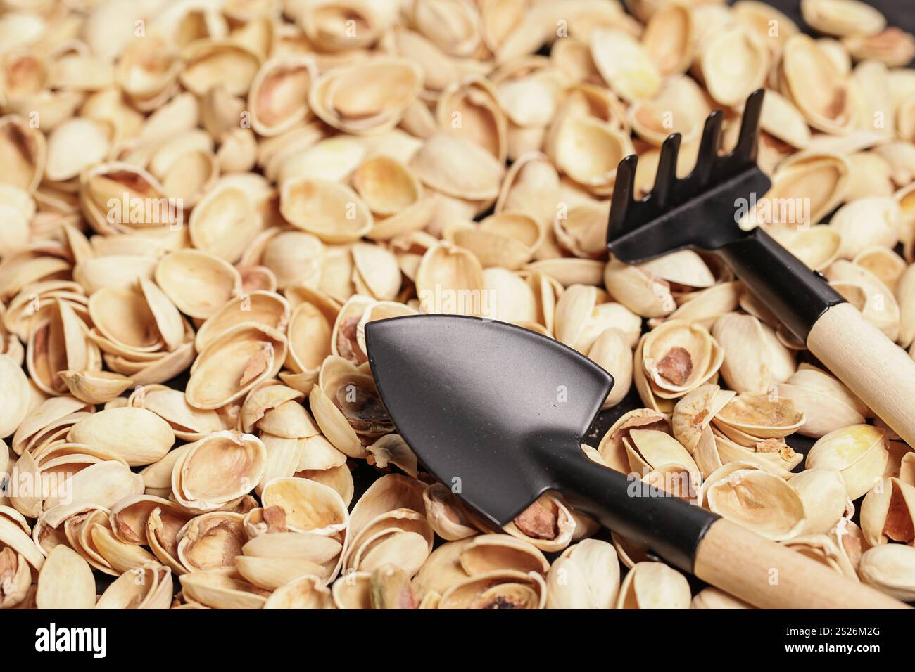 Pistachio Shells in Gardening. Mulching Soil. Care Houseplant Stock ...