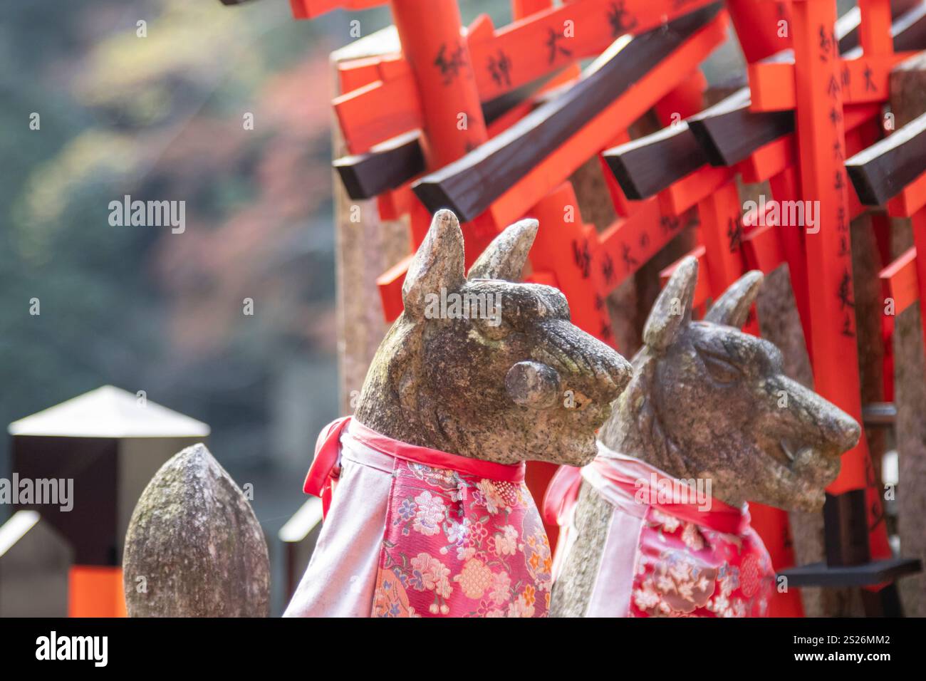 Inari shrine is used to have fox statues, which are messengers of god ...